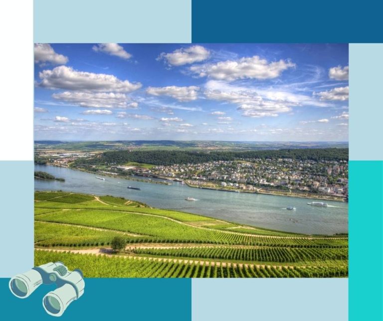 Das Rhein-Main-Gebiet kulinarisch erleben | Rhein-Gourmet - Magazin für ...